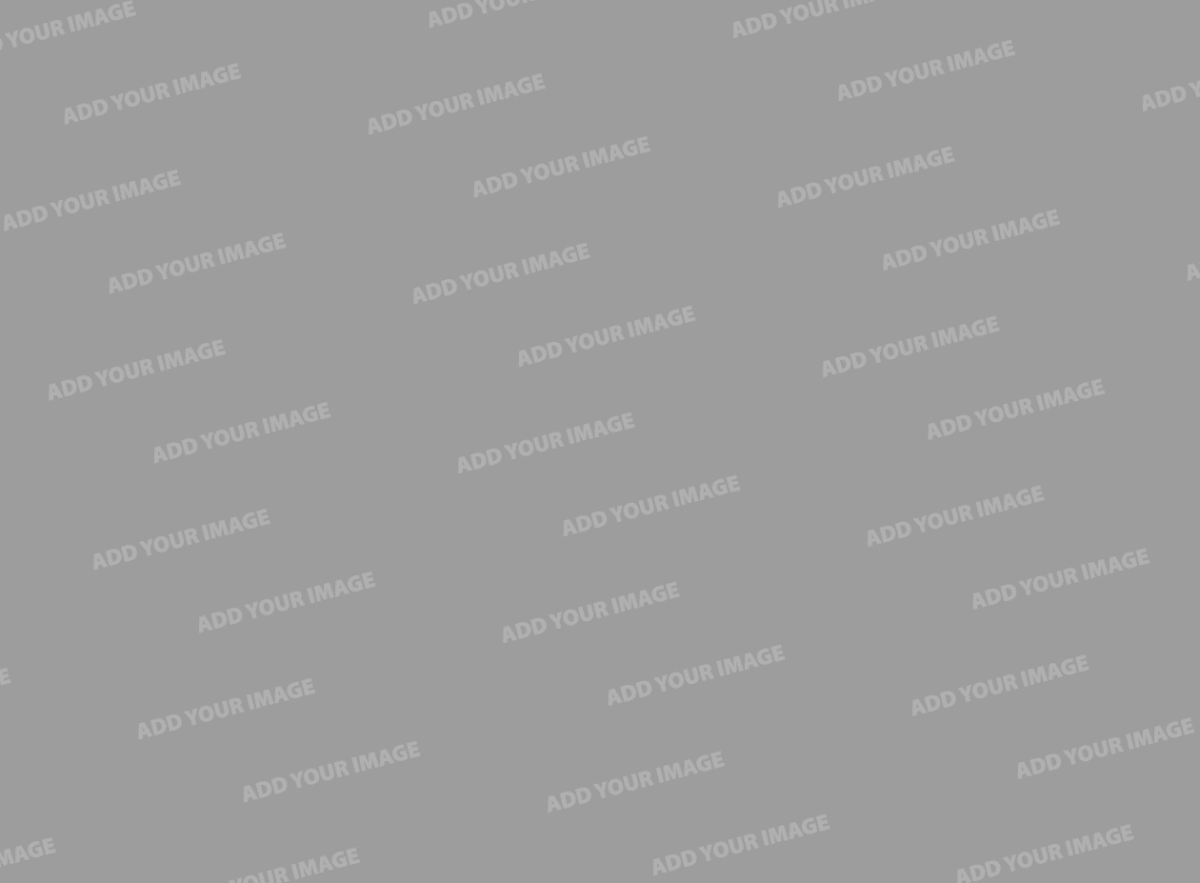 Various possibilities in arena/stadium - Dividing Curtains